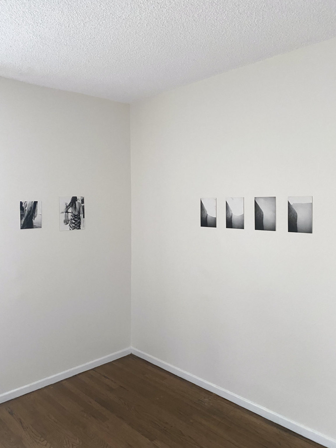 Jochen Lempert at Feuilleton – Art Viewer