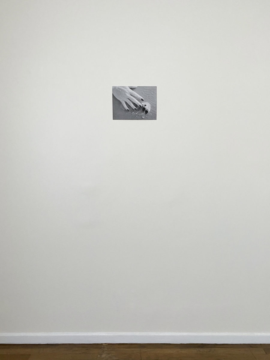 Jochen Lempert at Feuilleton – Art Viewer