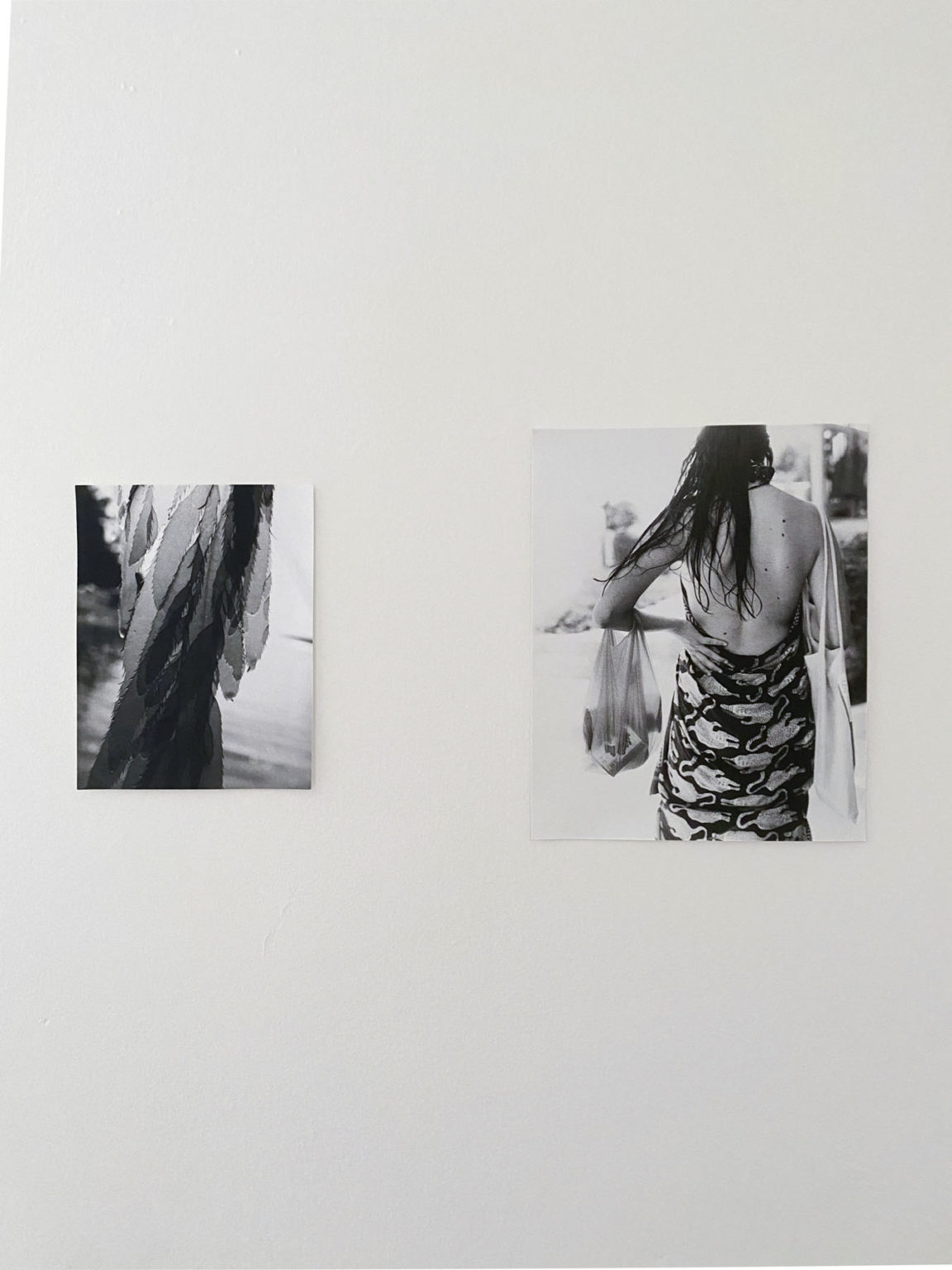 Jochen Lempert at Feuilleton – Art Viewer