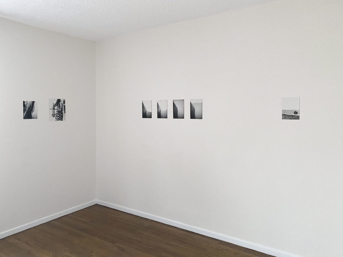 Jochen Lempert at Feuilleton – Art Viewer