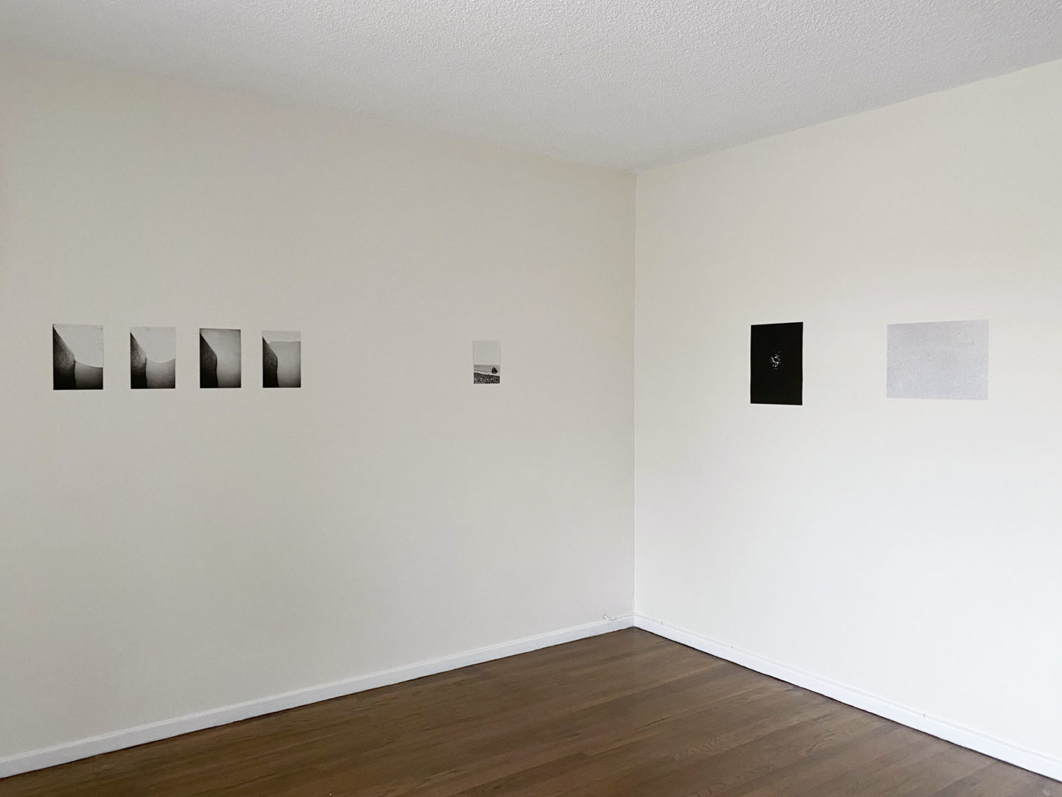 Jochen Lempert at Feuilleton – Art Viewer