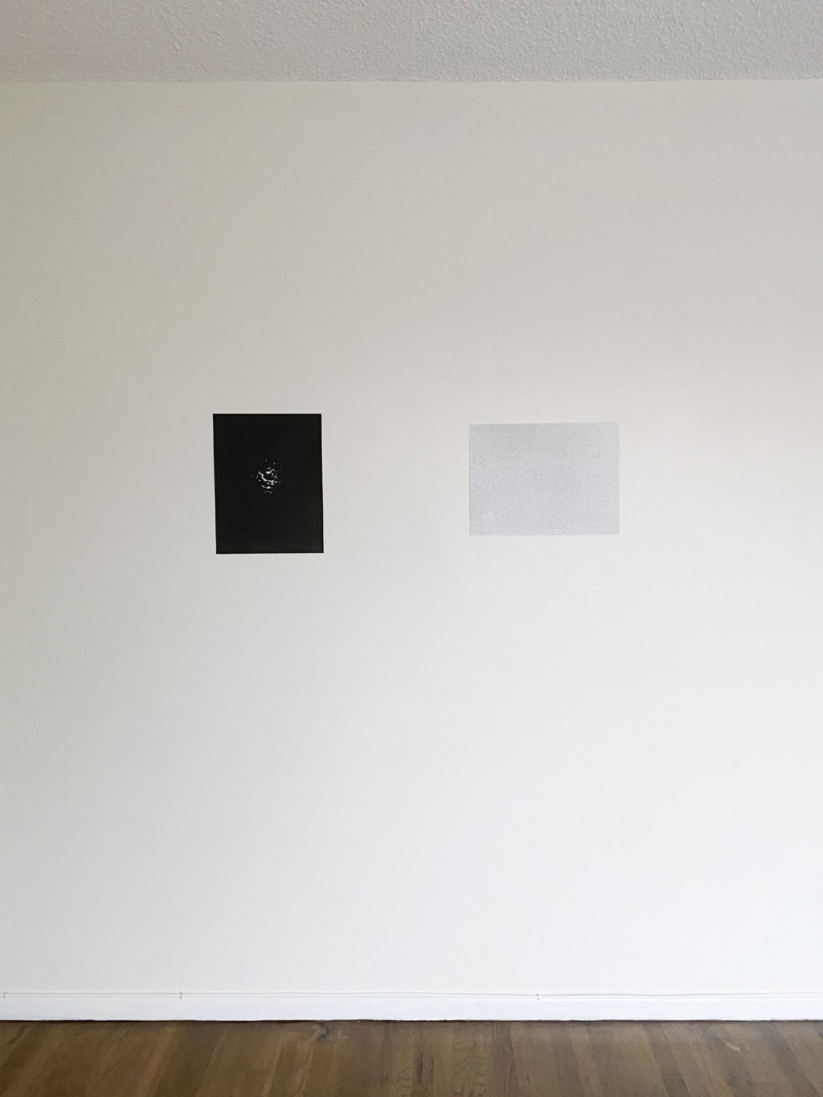 Jochen Lempert at Feuilleton – Art Viewer