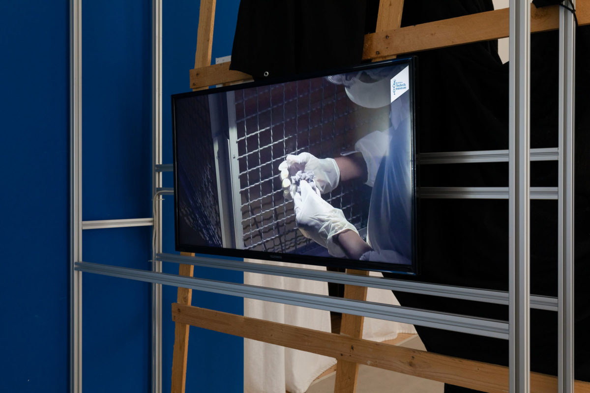 Monilola Olayemi Ilupeju at TIER (The Institute for Endotic Research ...