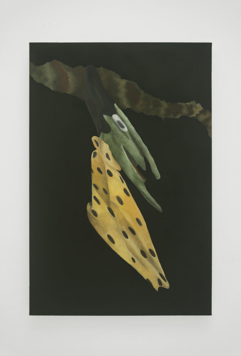 Adam Alessi at Smart Objects – Art Viewer