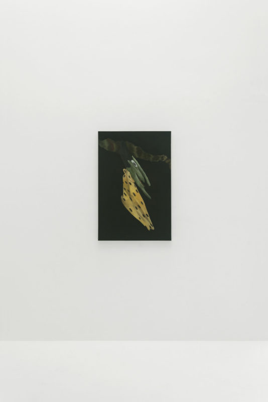 Adam Alessi at Smart Objects – Art Viewer