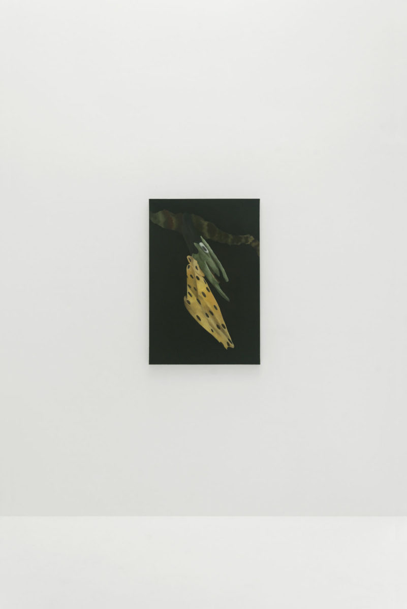 Adam Alessi at Smart Objects – Art Viewer