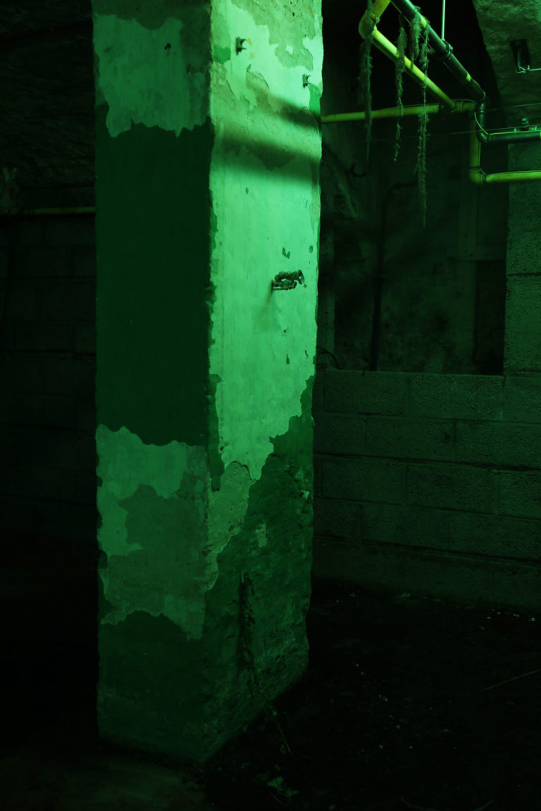 Joppe Venema at CLAPTRAP – Art Viewer