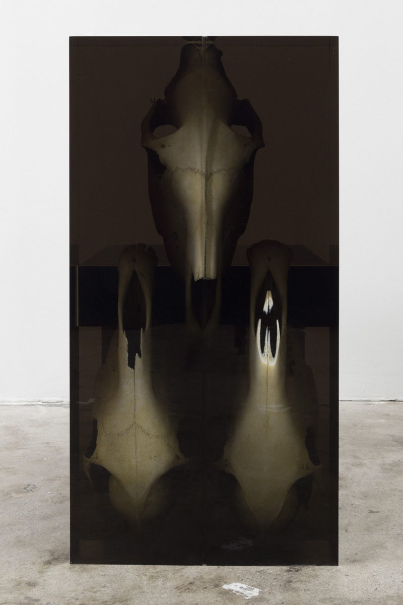 Matthew Angelo Harrison at Jessica Silverman Gallery – Art Viewer