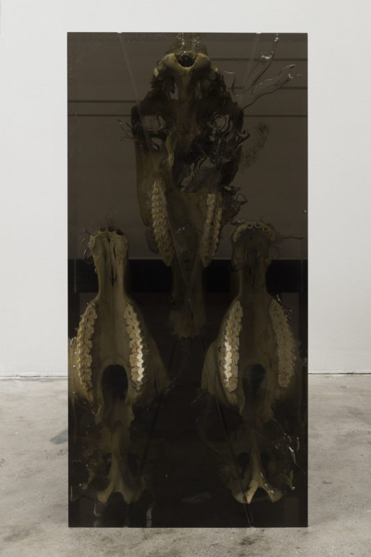 Matthew Angelo Harrison at Jessica Silverman Gallery – Art Viewer