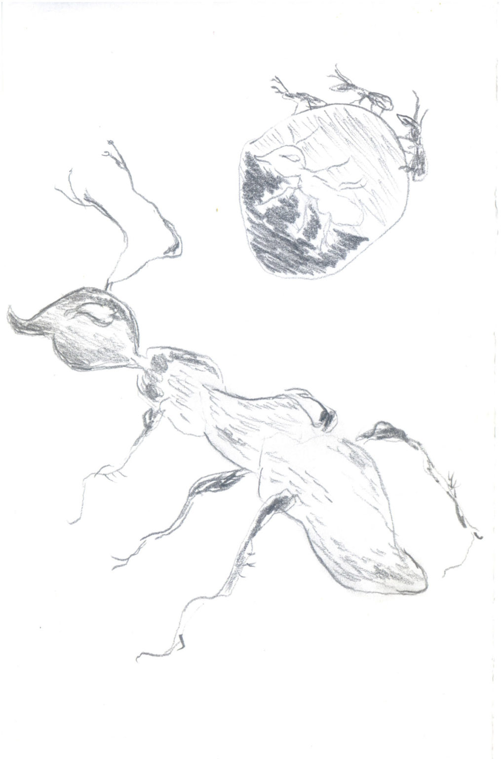 Ádám Ulbert at ENA Viewing Space – Art Viewer