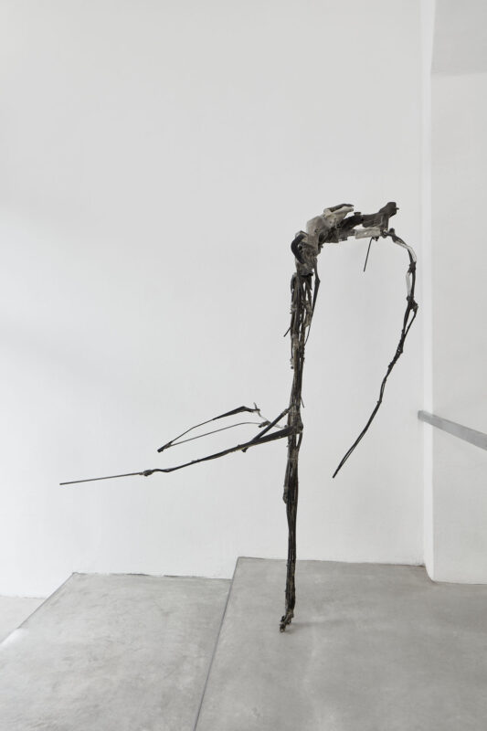 Giulia Cenci at SpazioA – Art Viewer