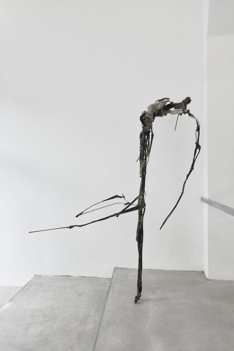 Giulia Cenci at SpazioA – Art Viewer