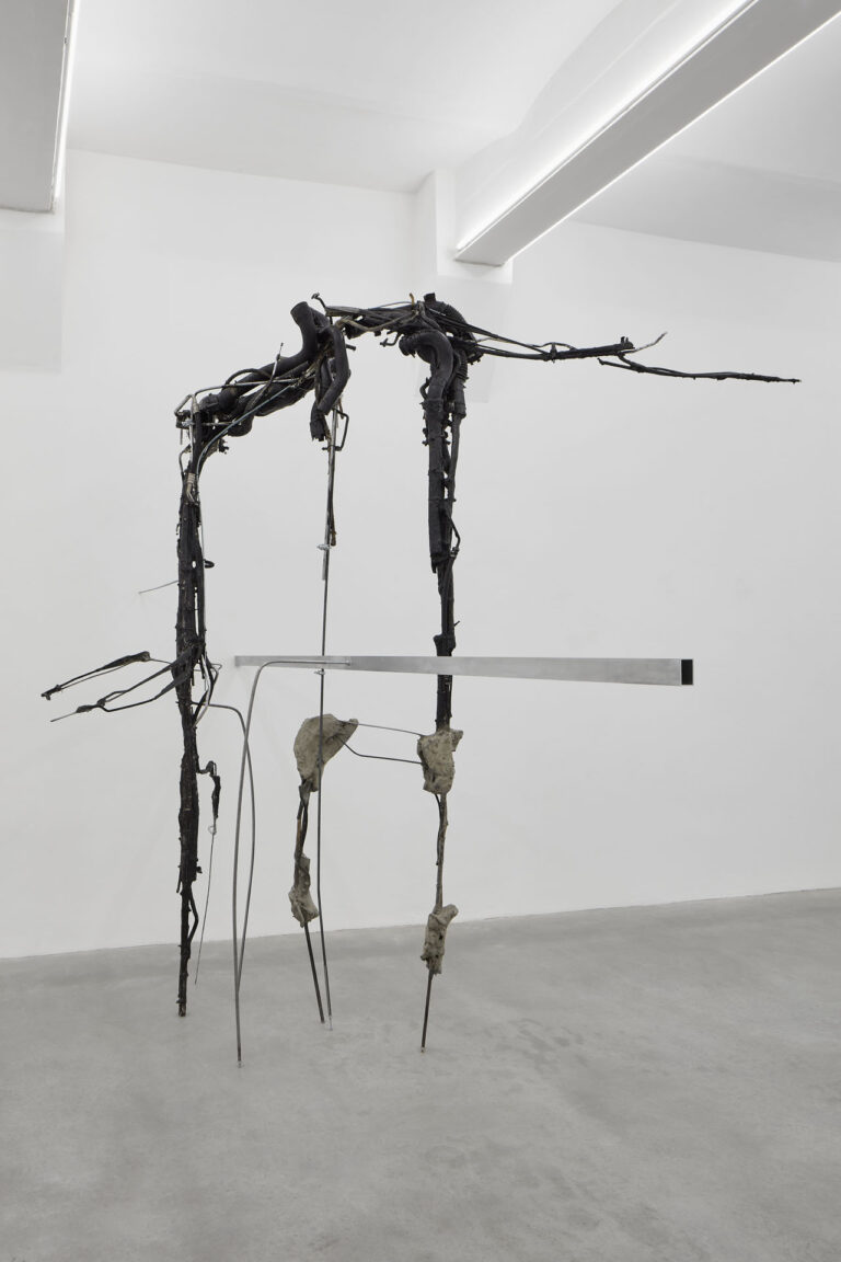 Giulia Cenci at SpazioA – Art Viewer