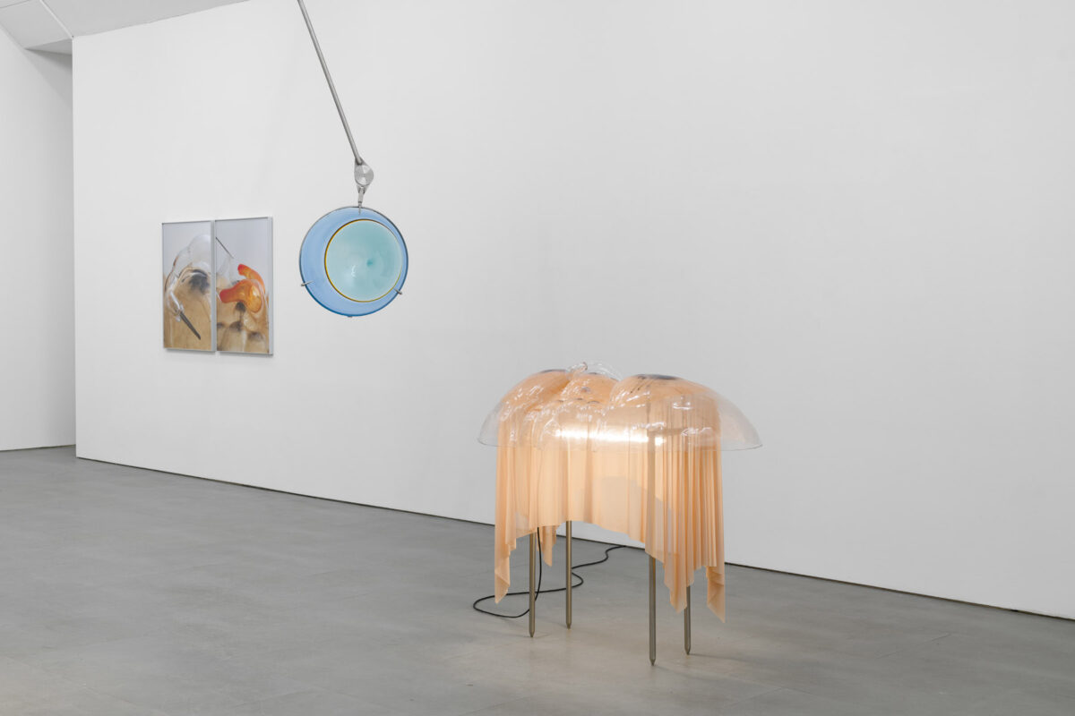 Pakui Hardware at carlier | gebauer – Art Viewer