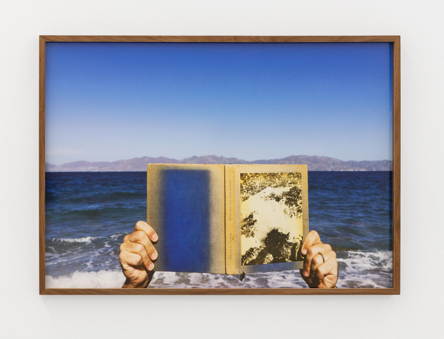 Adrien Missika at Galeria Francisco Fino – Art Viewer