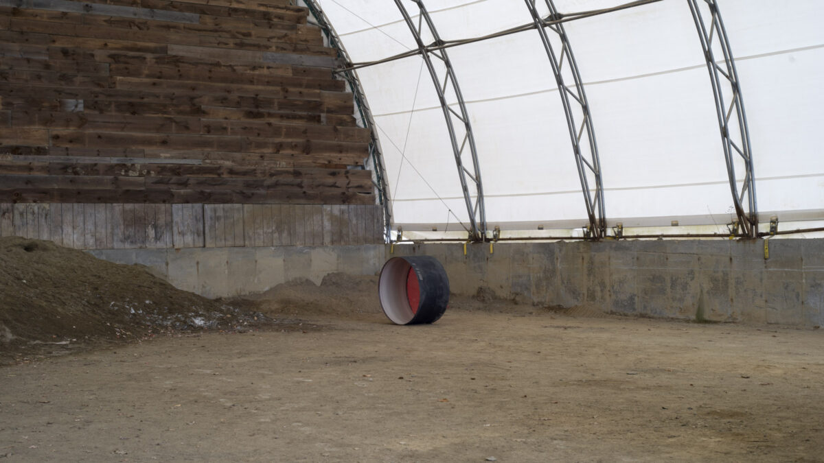 Carlos Reyes at Waldo – Art Viewer