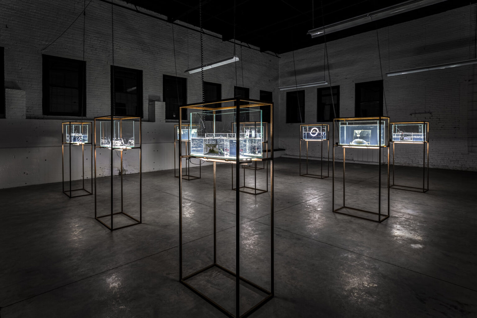 Ani Liu at Elijah Wheat Showroom – Art Viewer