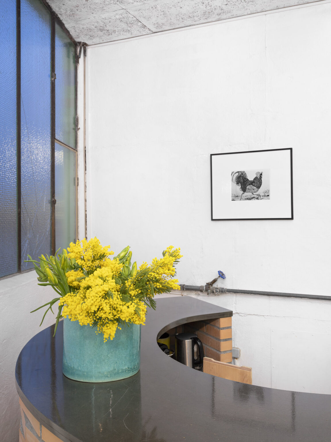 Alfredo Aceto at Hit – Art Viewer