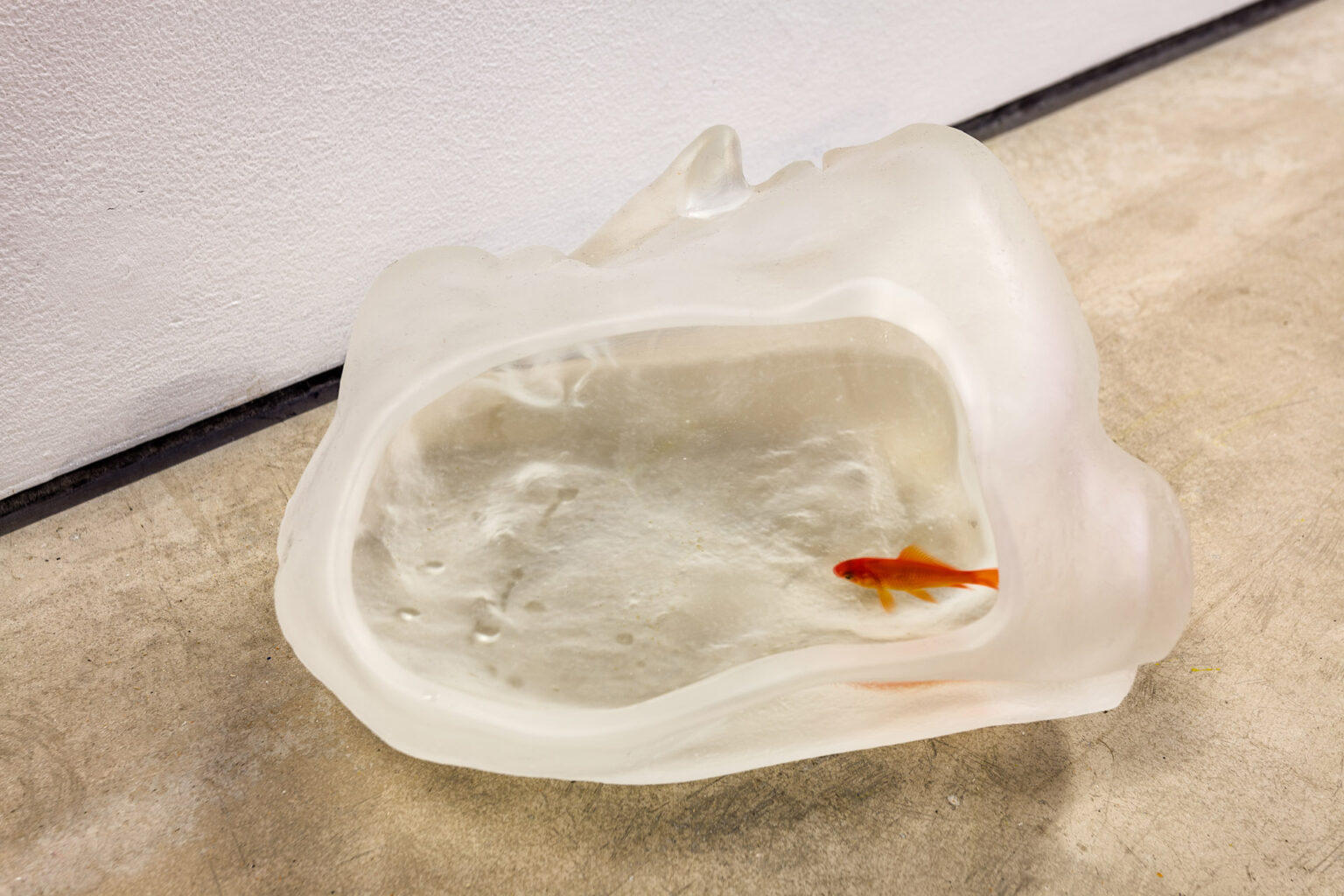 Jesse Wine at The Modern Institute – Art Viewer