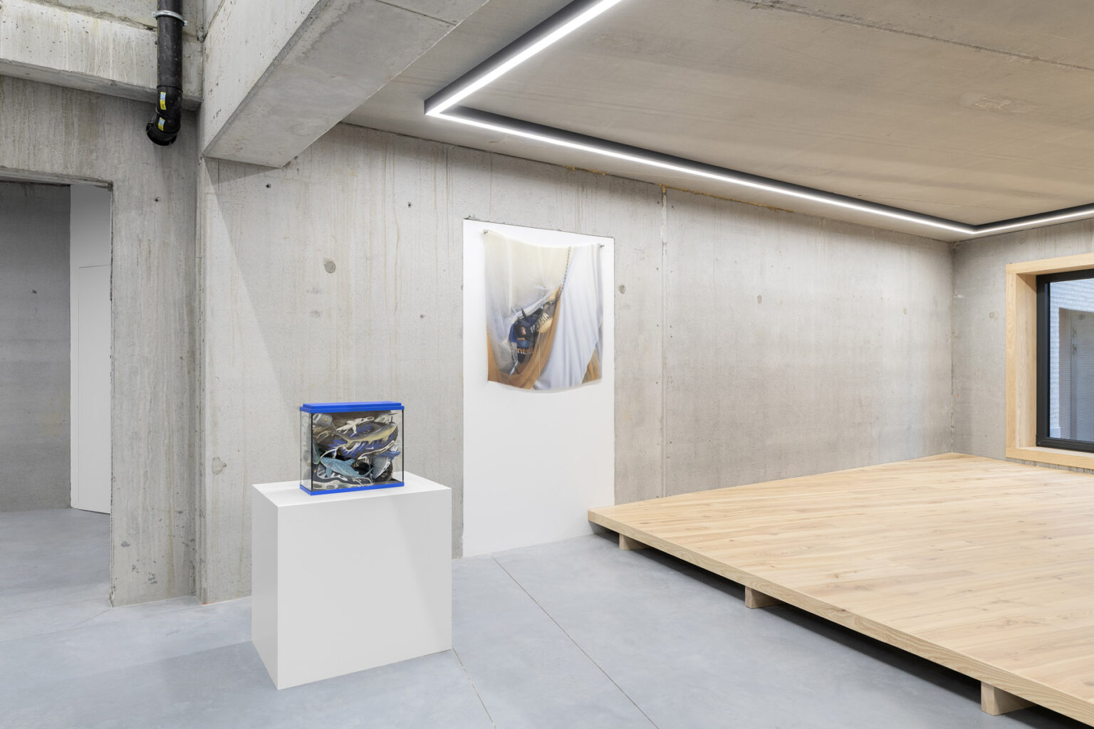 Julien Boudet at Stems Gallery – Art Viewer