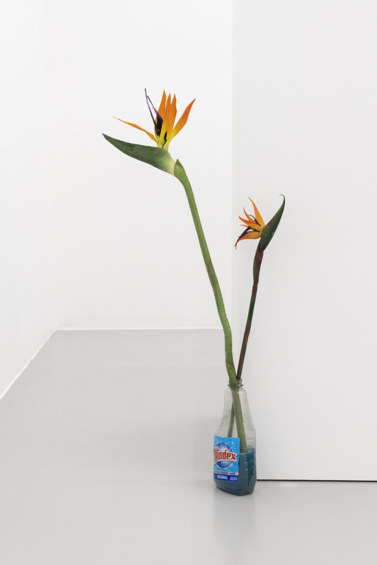 Sandy Williams IV and Monsieur Zohore at Springsteen – Art Viewer