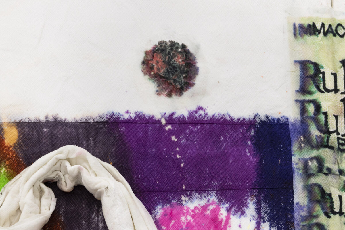 Sandy Williams IV and Monsieur Zohore at Springsteen – Art Viewer