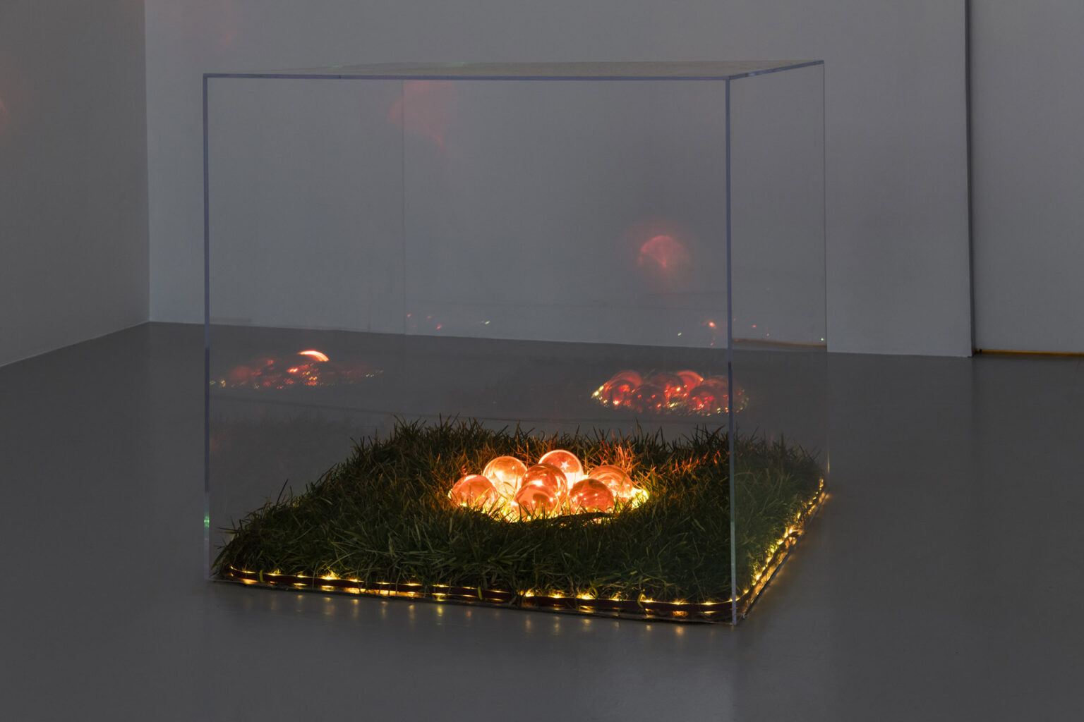 Sandy Williams IV and Monsieur Zohore at Springsteen – Art Viewer