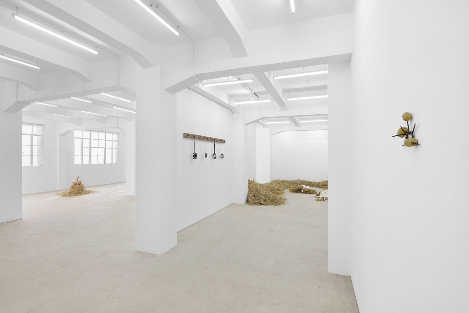 Sydney Shen at Gallery Vacancy – Art Viewer