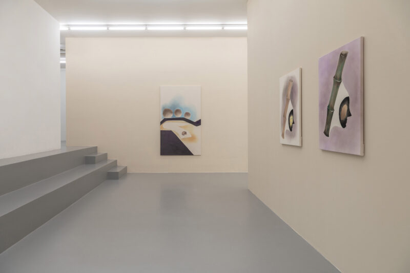 Enrico David at Gió Marconi – Art Viewer