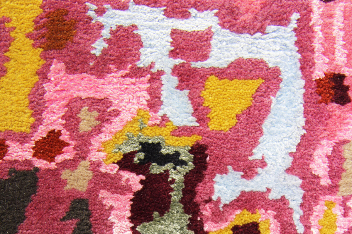 Irene Fenara at UNA – Art Viewer