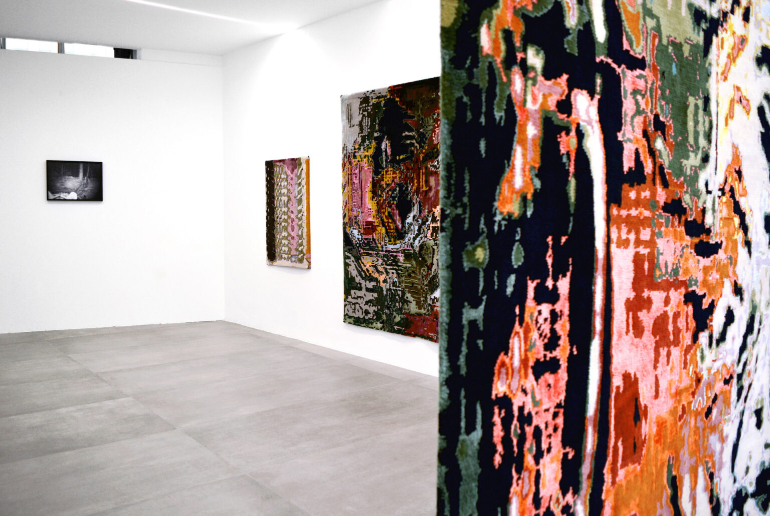 Irene Fenara at UNA – Art Viewer