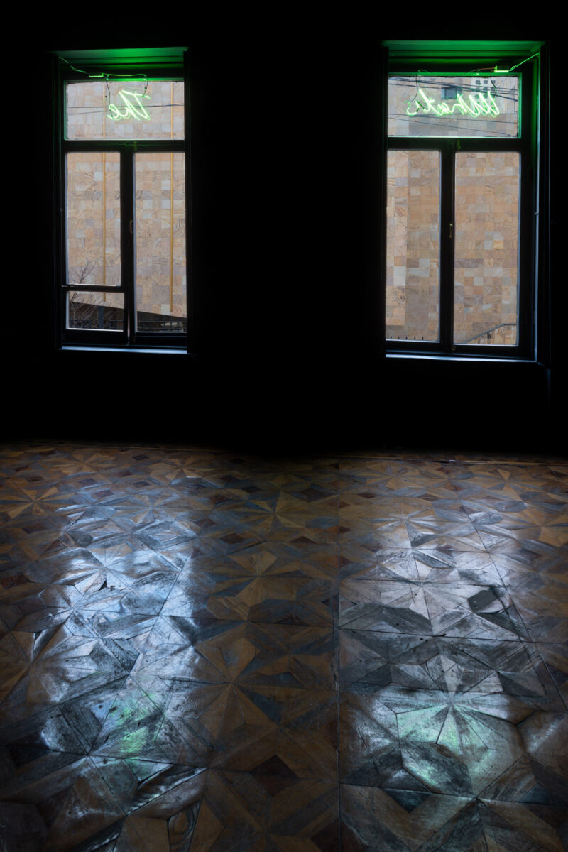 Maia Naveriani at E.A. Shared Space – Art Viewer