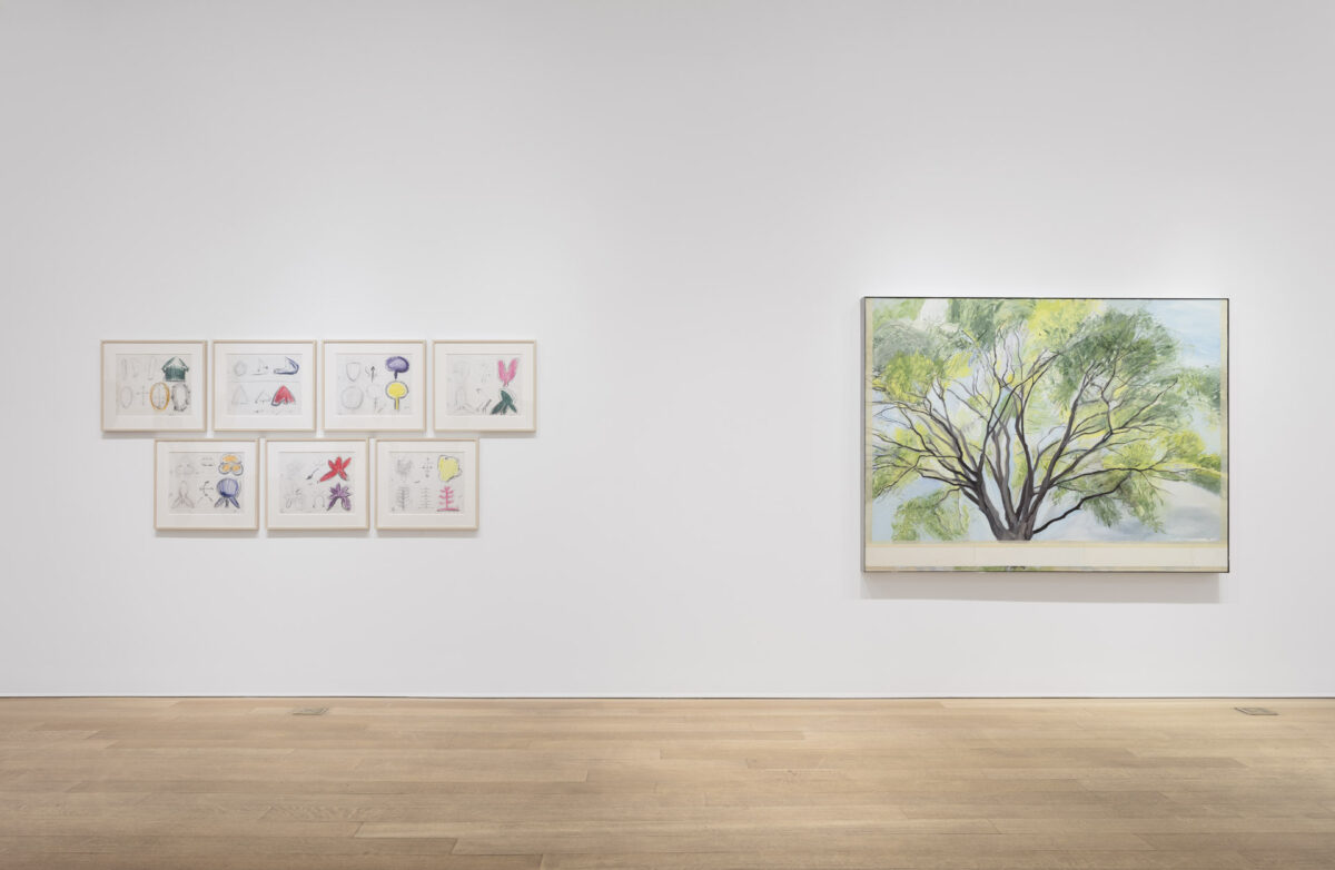 Index at Alexander and Bonin – Art Viewer