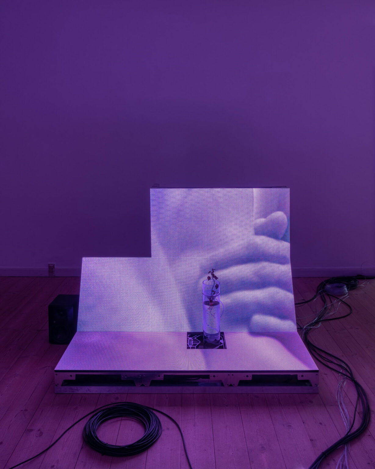 Jesper Just at Gammel Holtegaard – Art Viewer