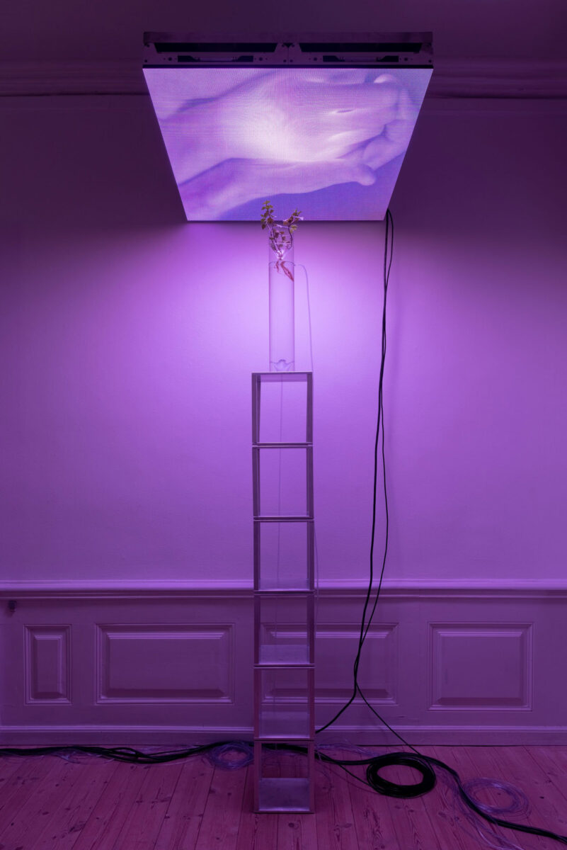 Jesper Just at Gammel Holtegaard – Art Viewer