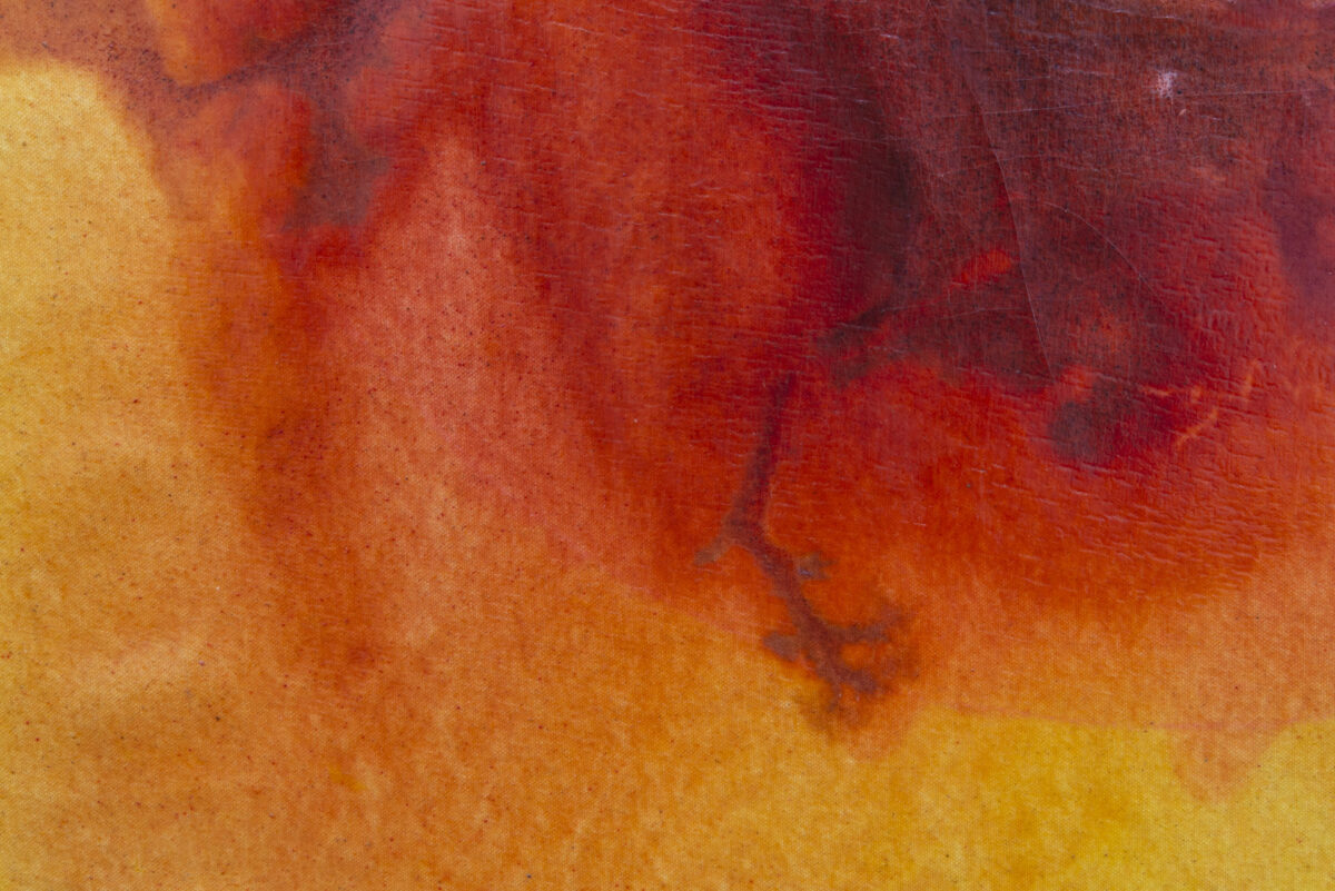 Kern Samuel at Bodega – Art Viewer