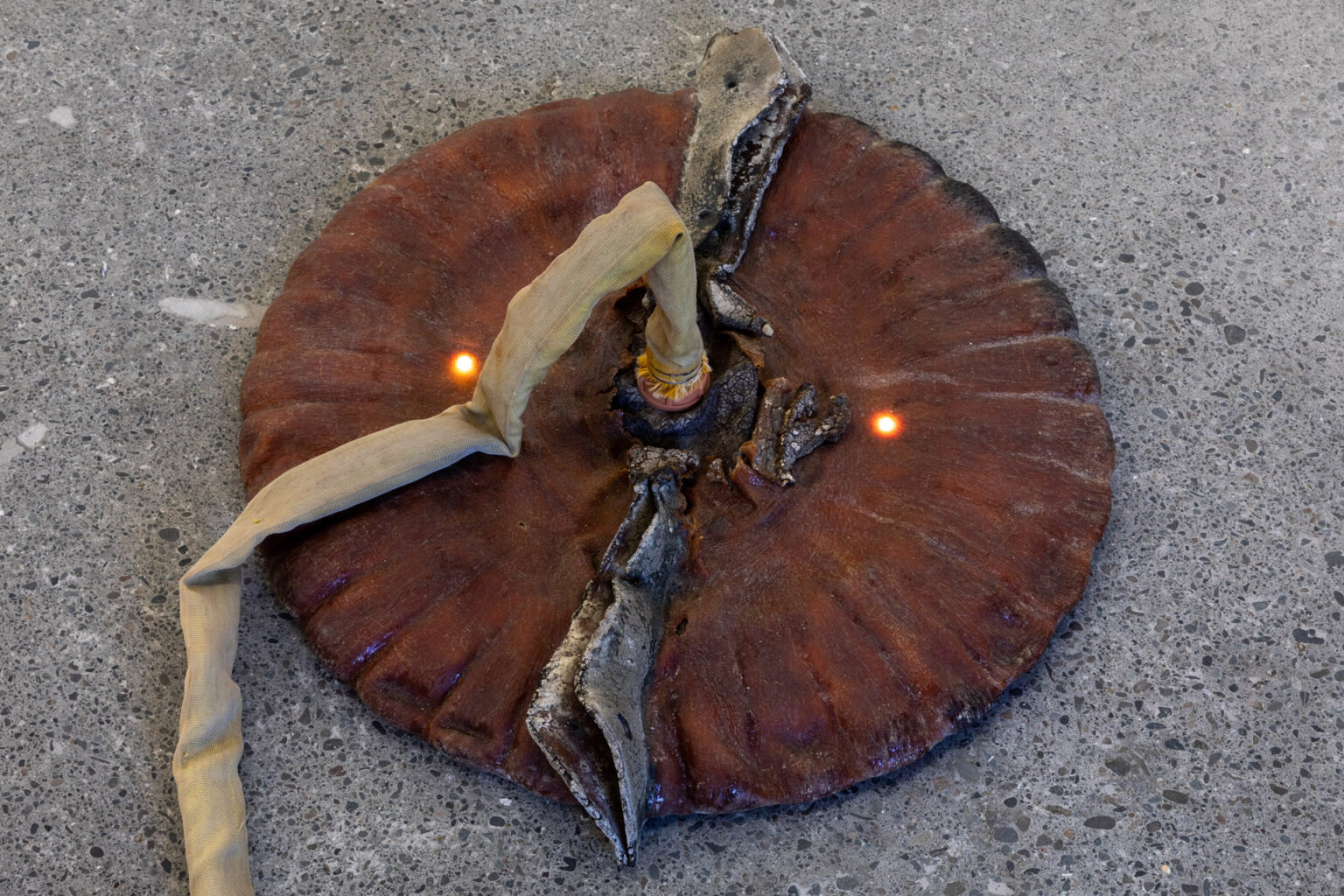 Lewis Fidock and Joshua Petherick at Robert Heald Gallery – Art Viewer