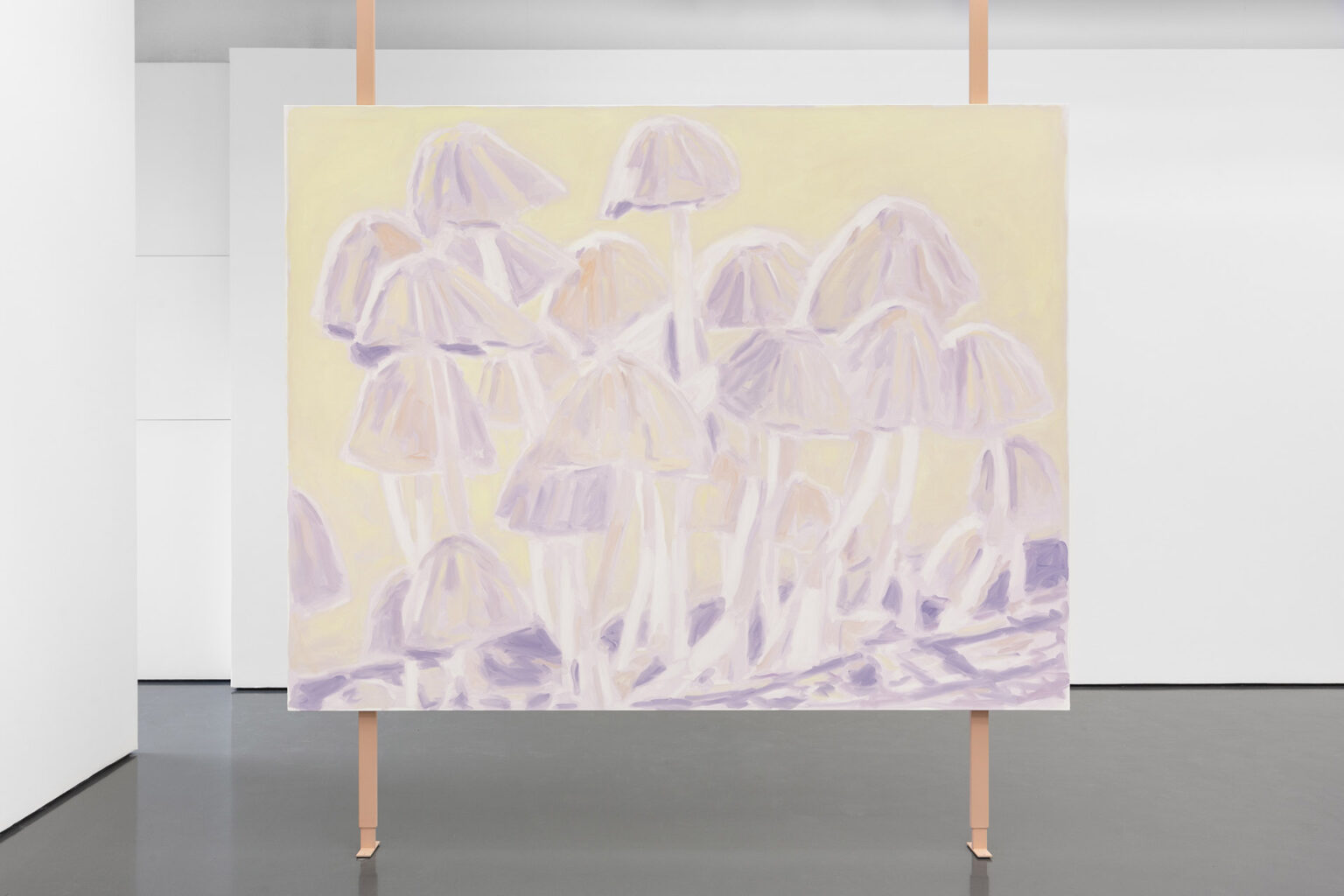 Bruno Pacheco at Pedro Cera – Art Viewer