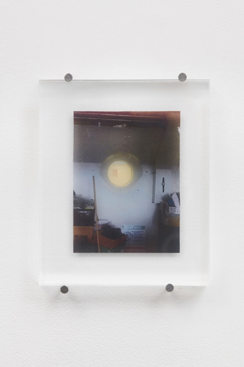 Douglas Watt at Tara Downs – Art Viewer