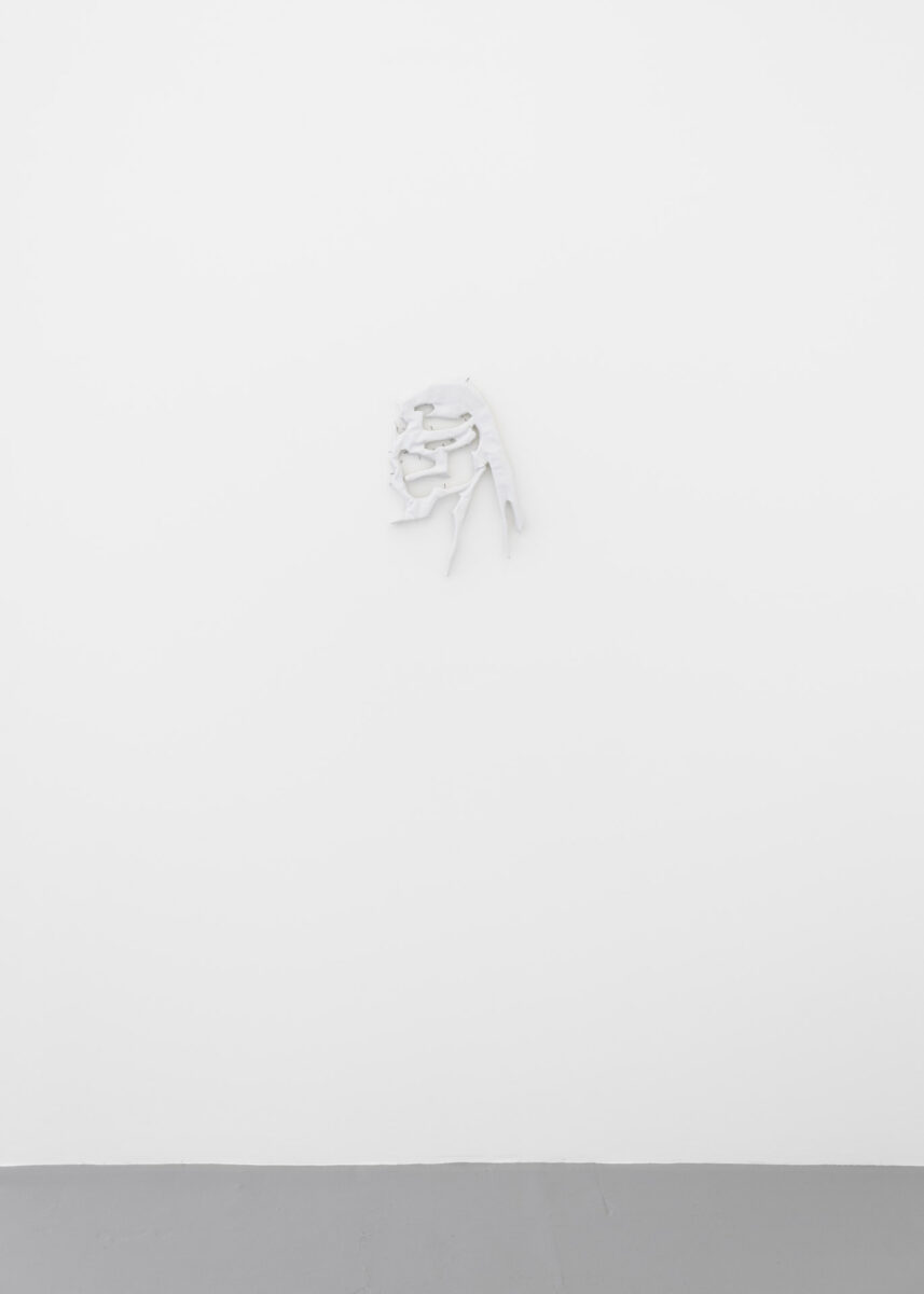 Anaïs Morales at Prairie – Art Viewer