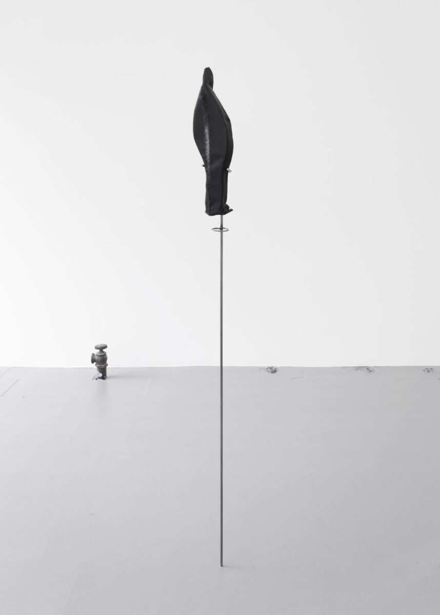 Anaïs Morales at Prairie – Art Viewer