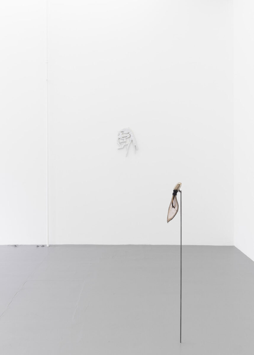 Anaïs Morales at Prairie – Art Viewer