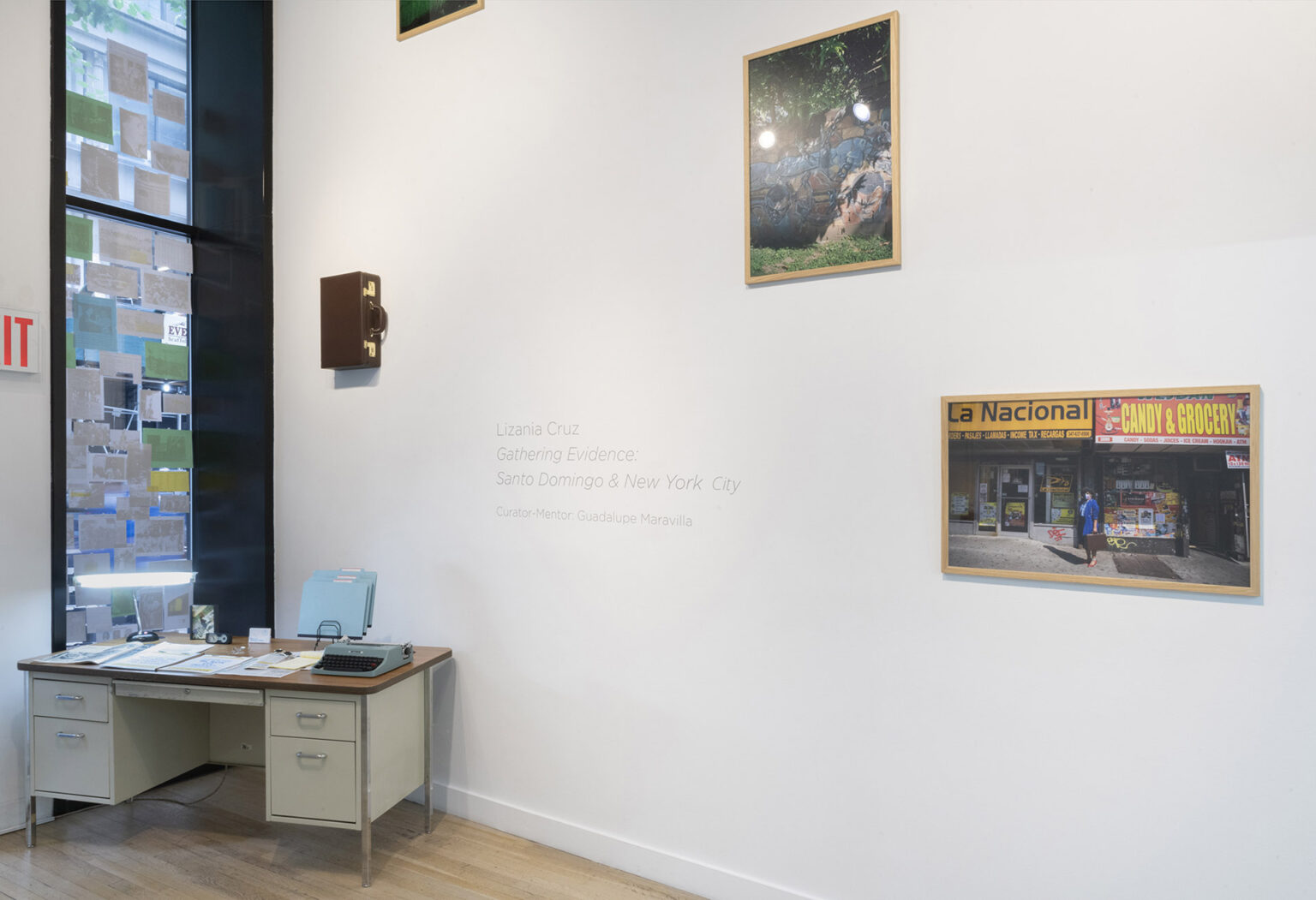 Lizania Cruz at CUE Art Foundation – Art Viewer