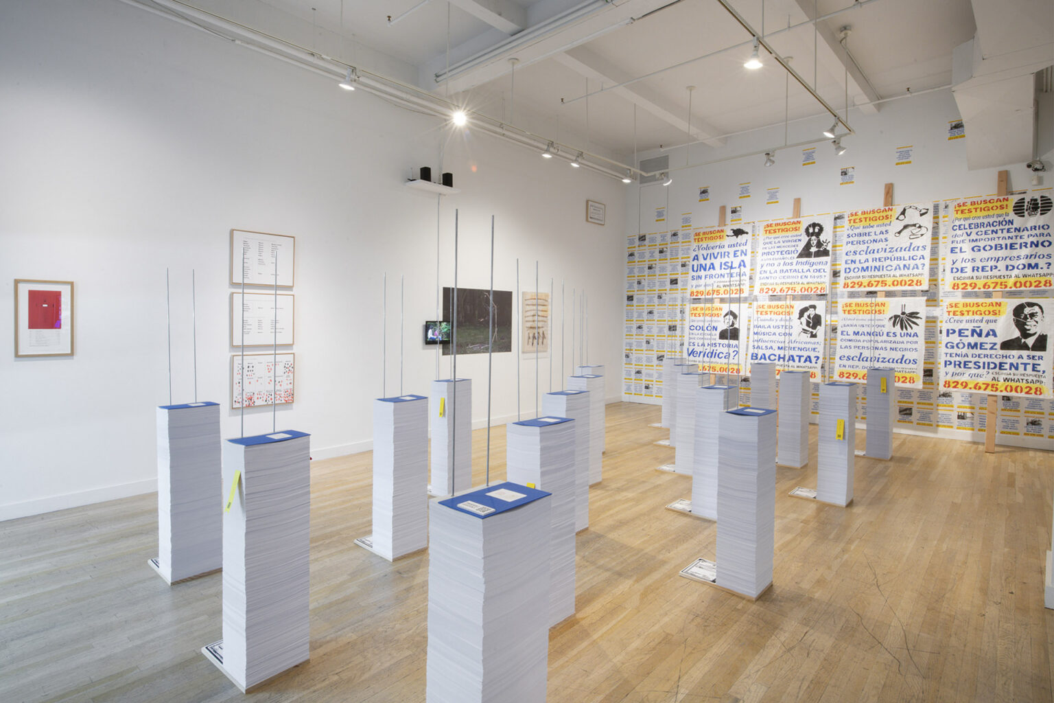 Lizania Cruz at CUE Art Foundation – Art Viewer