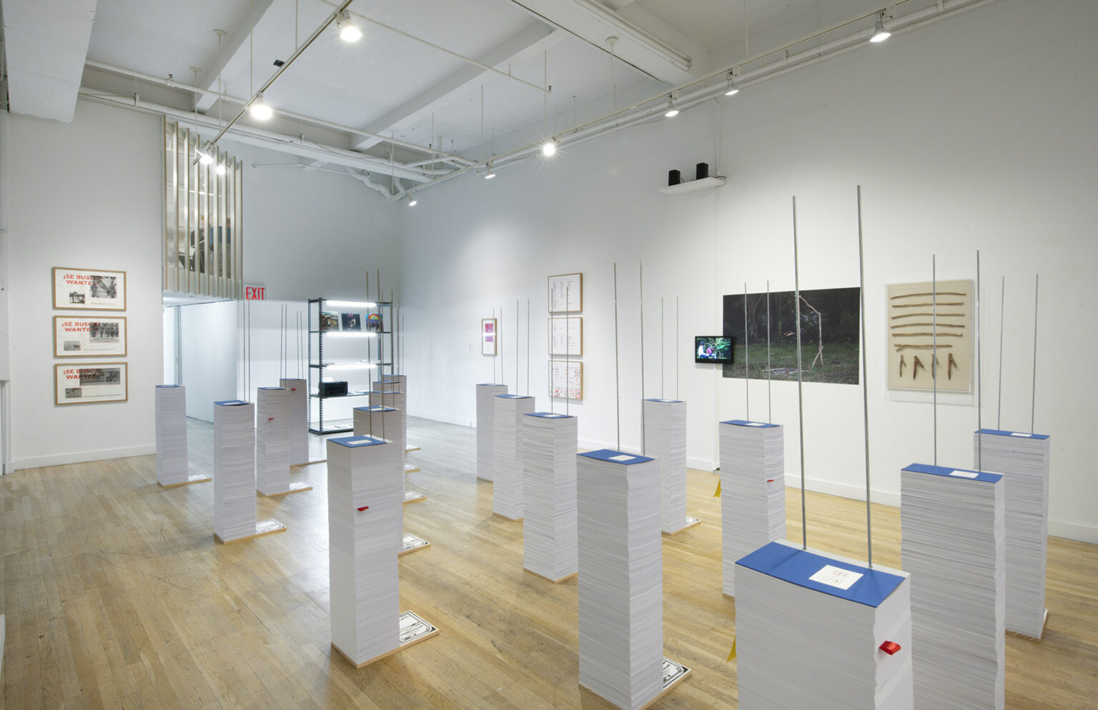 Lizania Cruz at CUE Art Foundation – Art Viewer