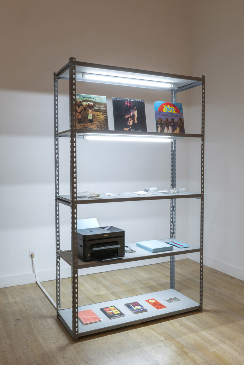Lizania Cruz at CUE Art Foundation – Art Viewer