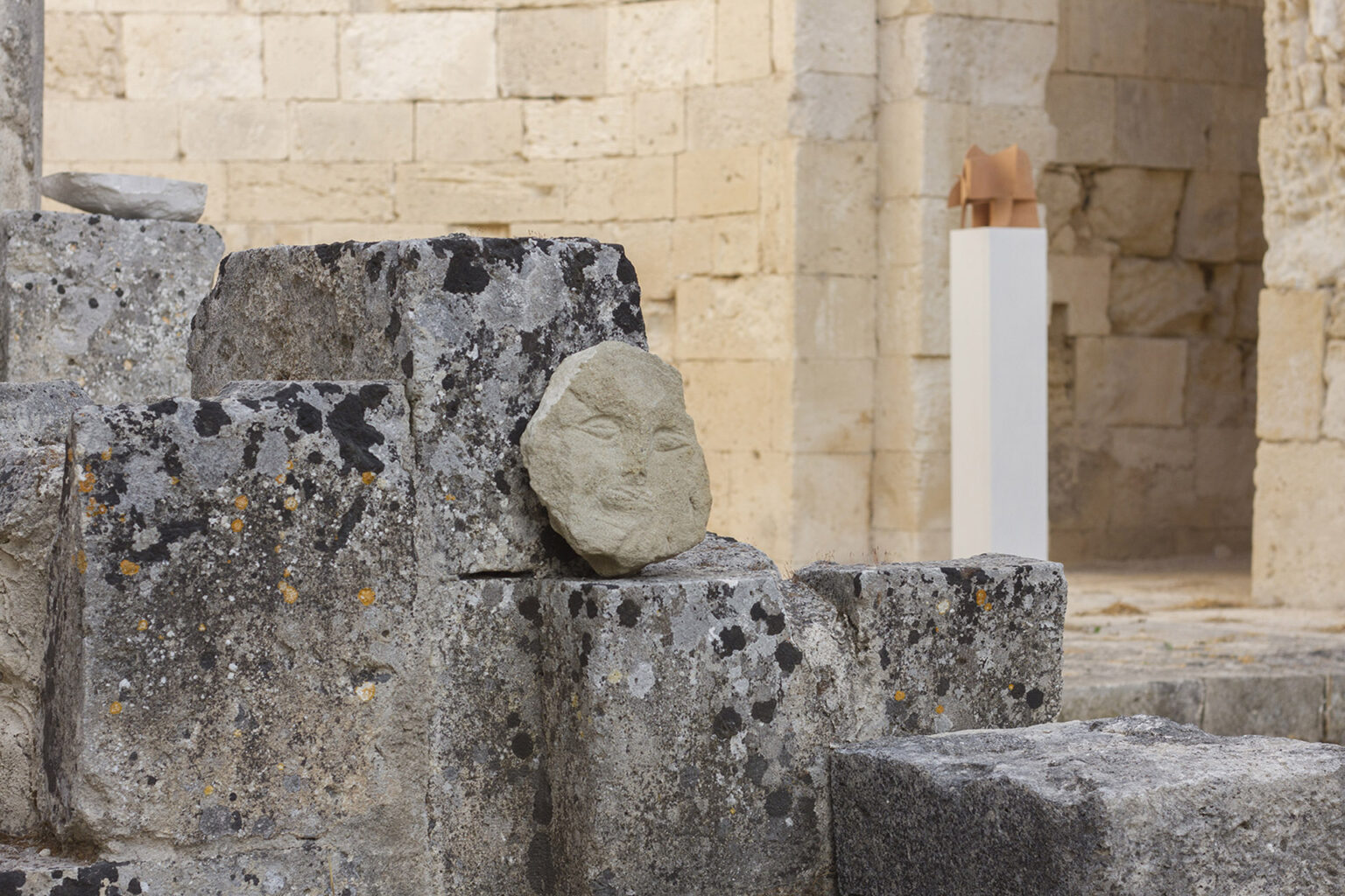 Montecristo Project at San Nicola di Silanis – Art Viewer