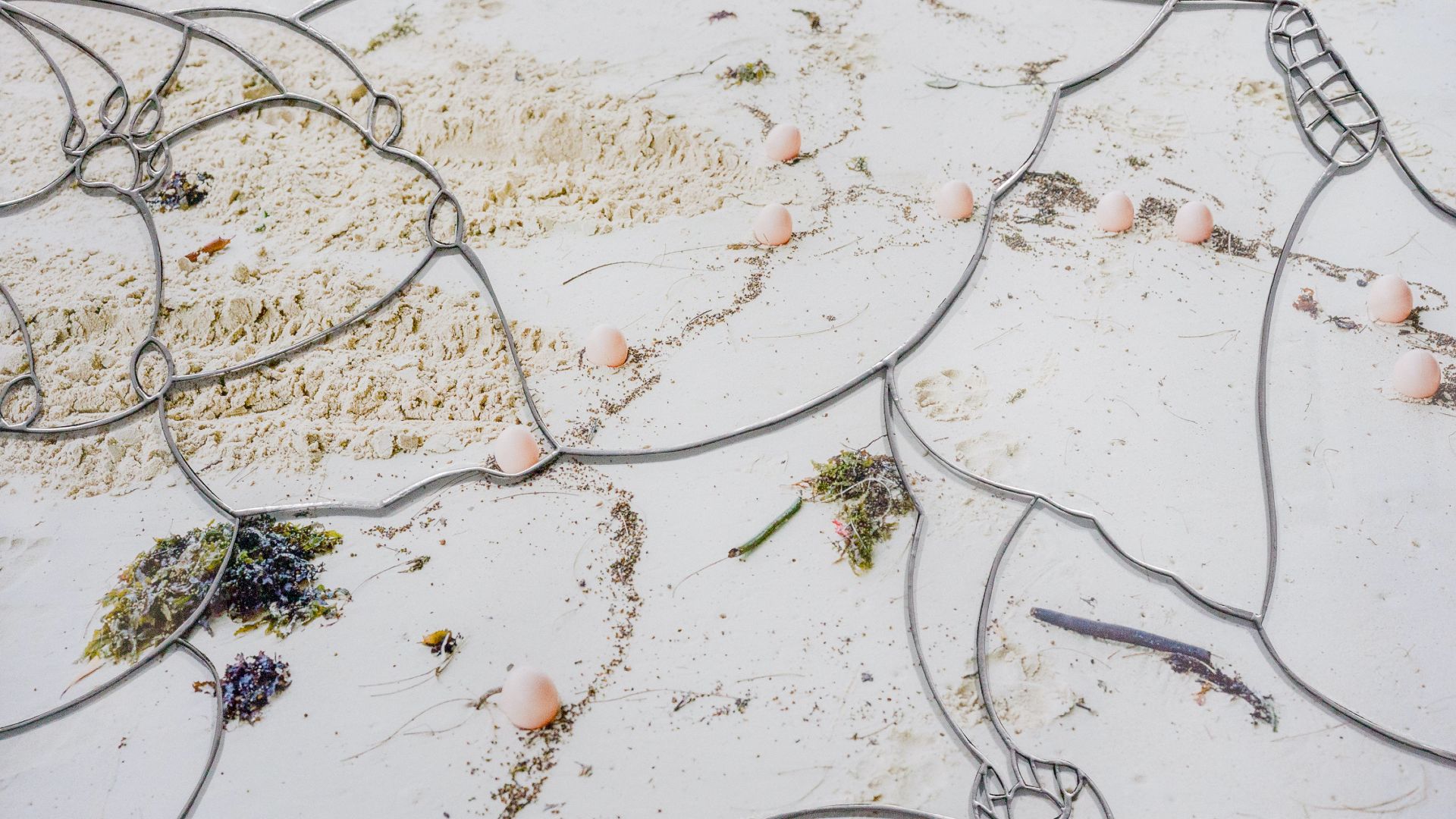 Peng Ke at Gallery Vacancy – Art Viewer