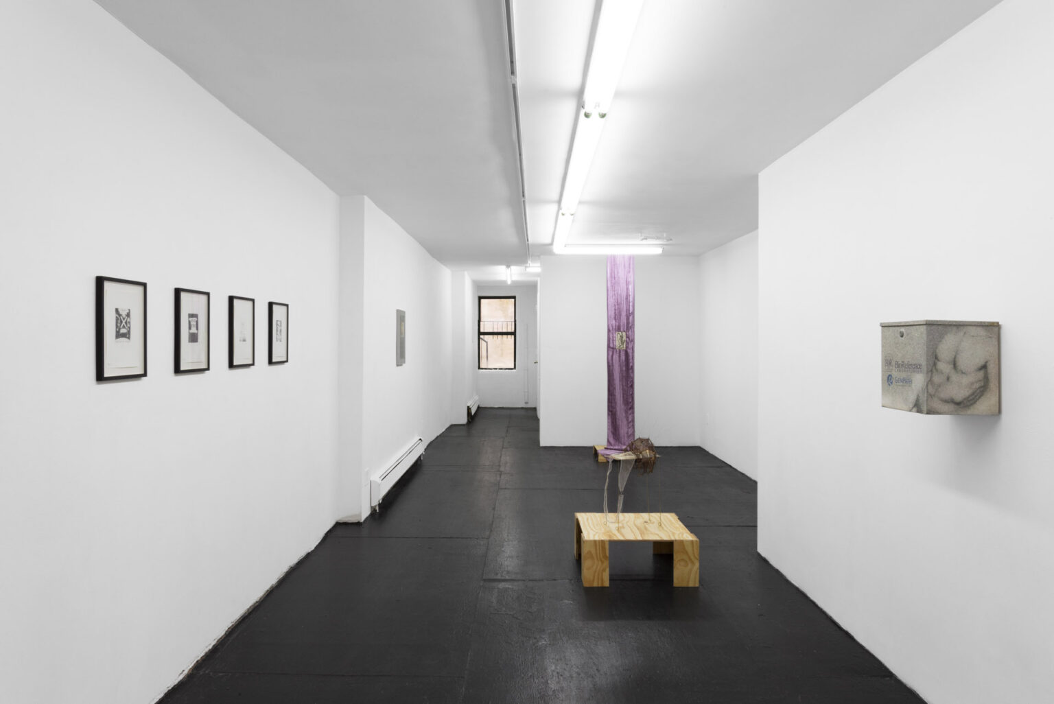 This Is My Bodys at Bodega – Art Viewer