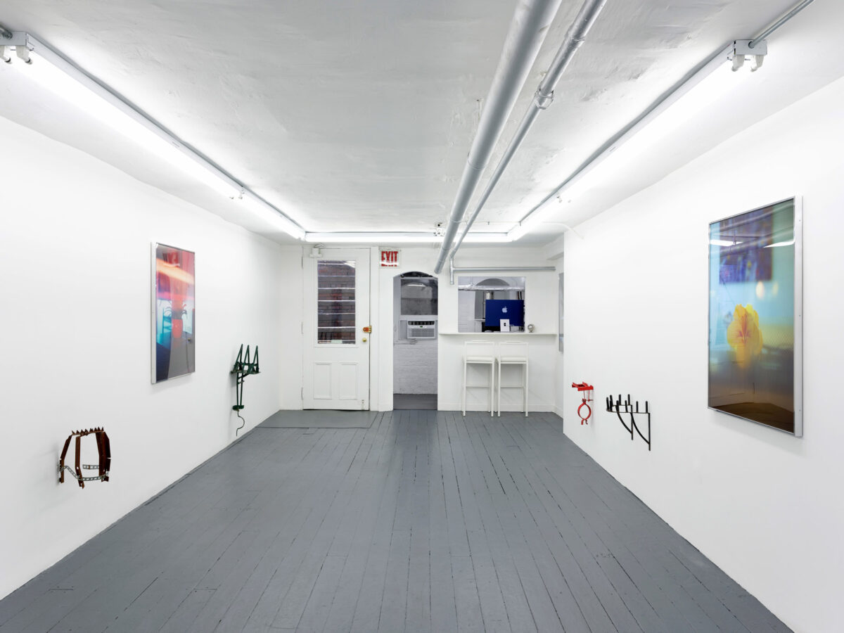 David L. Johnson at Theta – Art Viewer